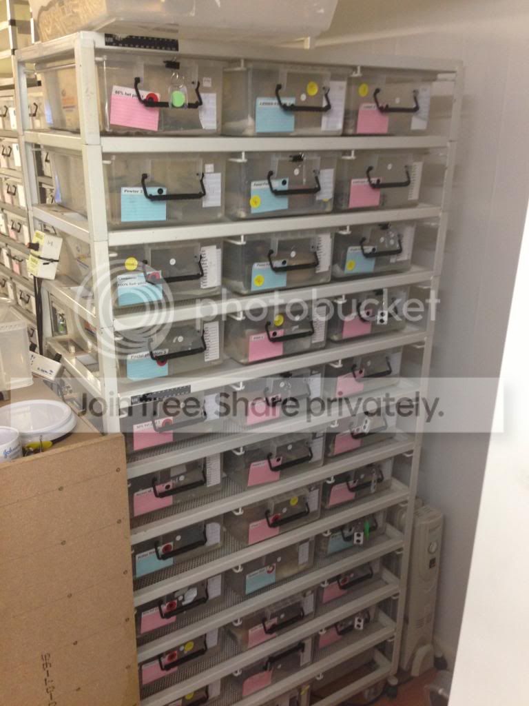 World-Snake racking system win rack & pro rack | Reptile Forums